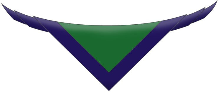 70th Dublin Porterstown Neckerchief | Fast Delivery | thescoutshop.ie