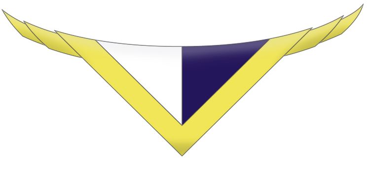 1st/10th Kildare Leixlip/Confey