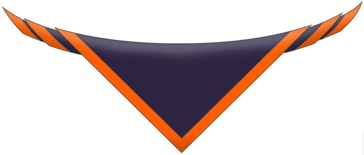 6th Kilkenny Kells Neckerchief | Fast Delivery | thescoutshop.ie
