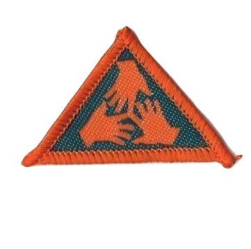 Scout Community Badge | Fast Delivery | thescoutshop.ie