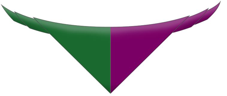 2nd Offaly Clara Neckerchief | Fast Delivery | thescoutshop.ie