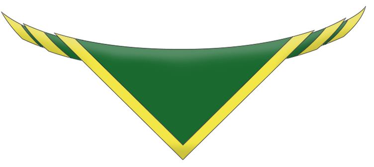 68th Cork Killeagh Neckerchief | Fast Delivery | thescoutshop.ie