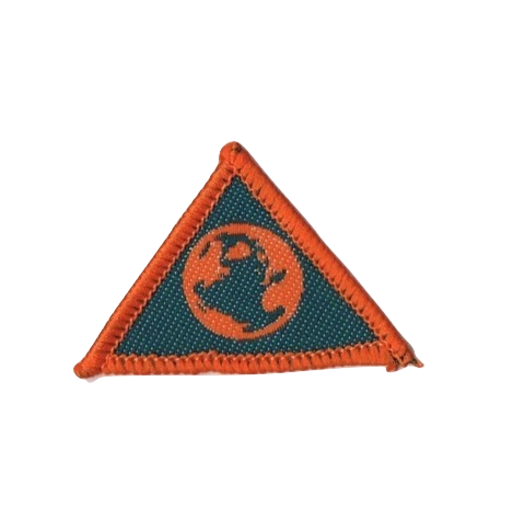 Scout Environment Badge | Fast Delivery | thescoutshop.ie