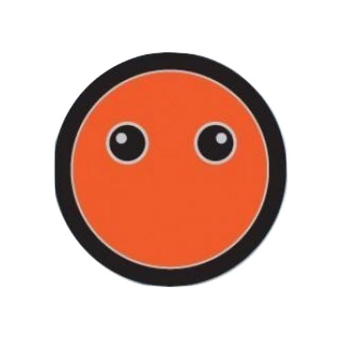 Leadership Pin | Fast Delivery | thescoutshop.ie