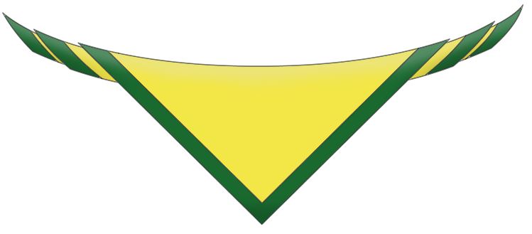 5th Galway Corafin Neckerchief | Fast Delivery | thescoutshop.ie