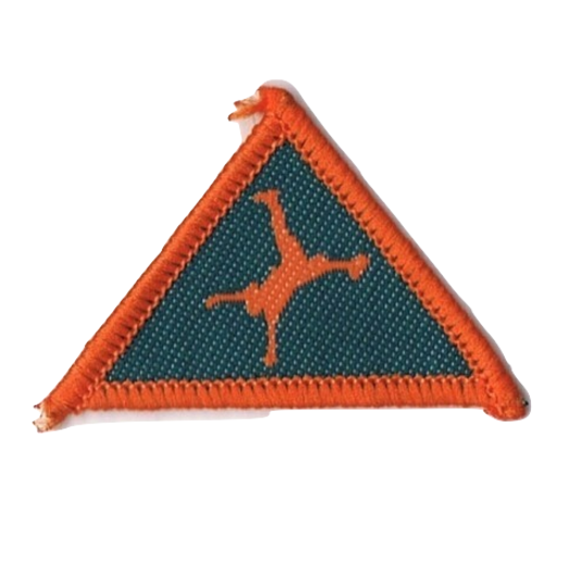 Scout Physical Badge | Fast Delivery | thescoutshop.ie