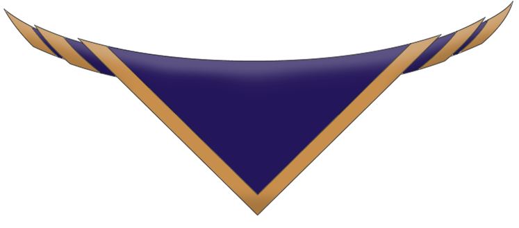 22nd Meath Donore | Fast Delivery | The Scout Shop