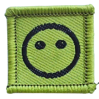 Rover Scout Section Badge | Fast Delivery | thescoutshop.ie